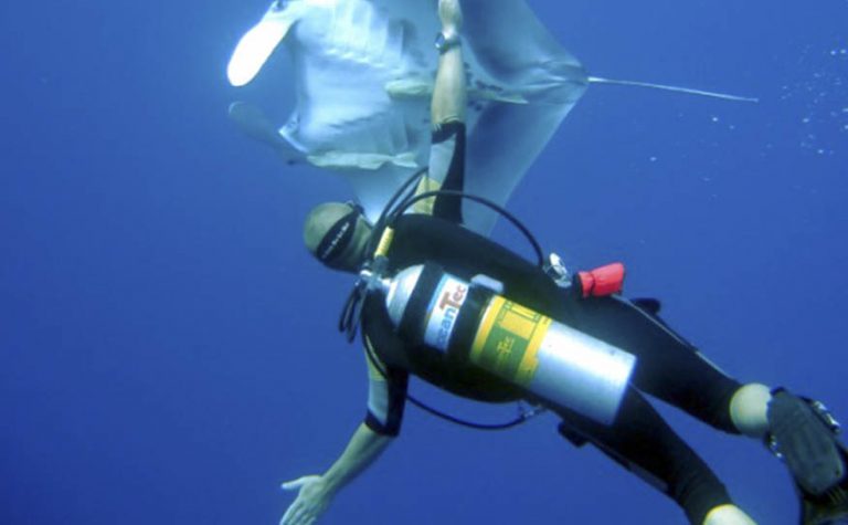 Menyelam Menggunakan Enriched Air Nitrox – Nadipati Dive Center